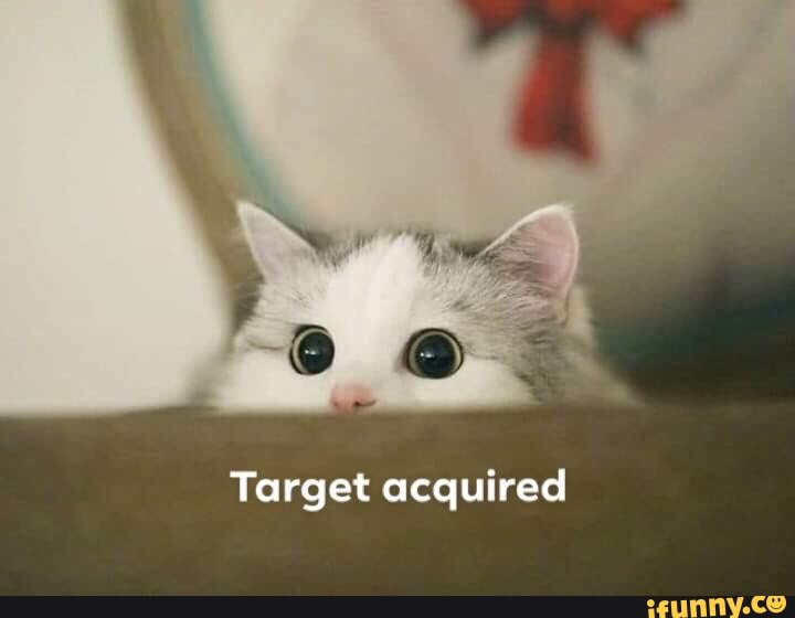 Target acquired - iFunny