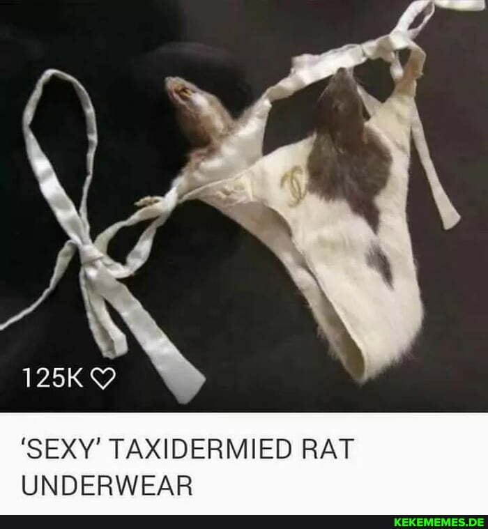 125K 'SEXY' TAXIDERMIED RAT UNDERWEAR - Keke
