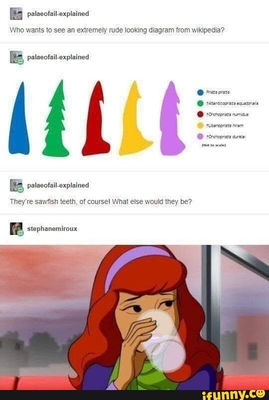 Who wants to see an extremely rude looking diagram from wikipedia? B ...