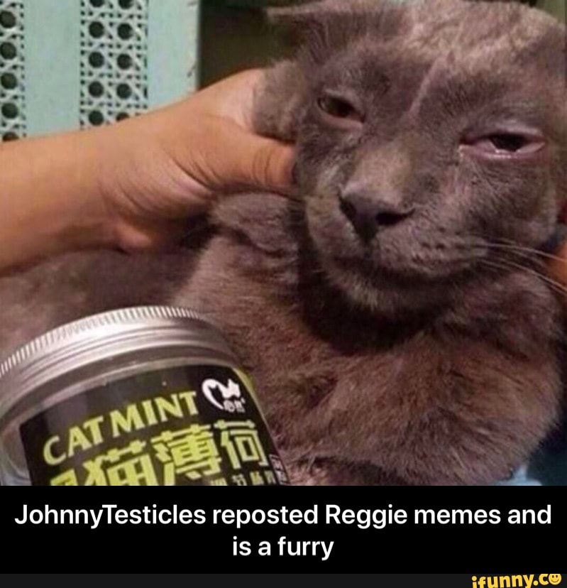 JohnnyTesticles reposted Reggie memes and is a furry - JohnnyTesticles ...