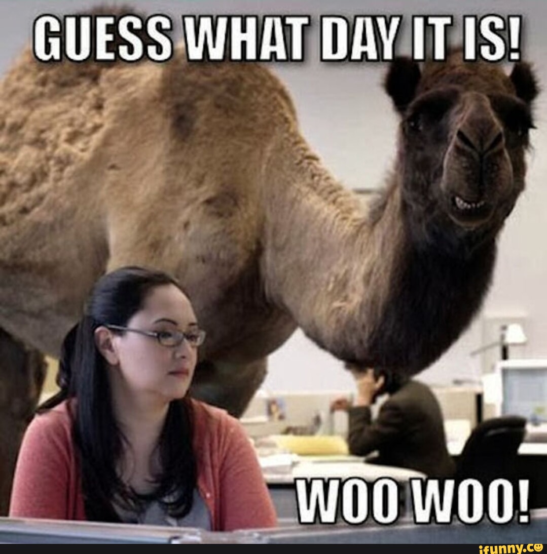 Guess What Day It Is Meme