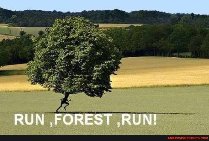 RUN ,FOREST ,RUN! - America’s best pics and videos