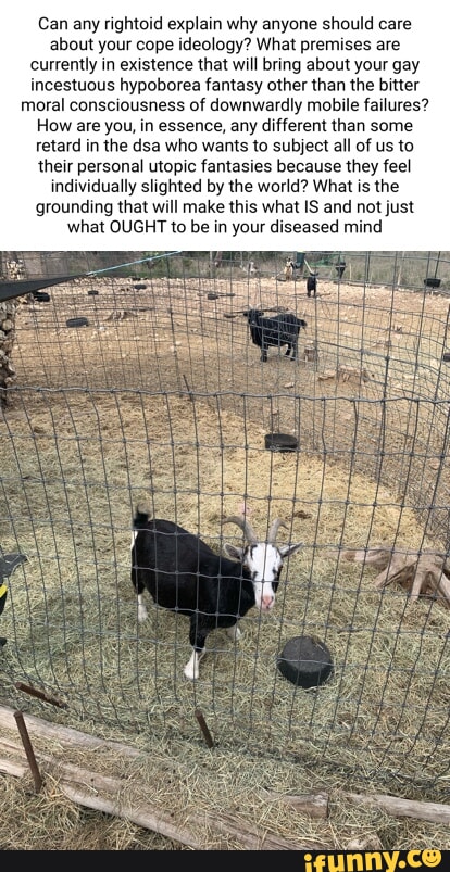 Rightoid memes. Best Collection of funny Rightoid pictures on iFunny