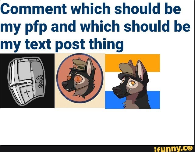 Comment which should be my pfp and which should be my text post thing a ...