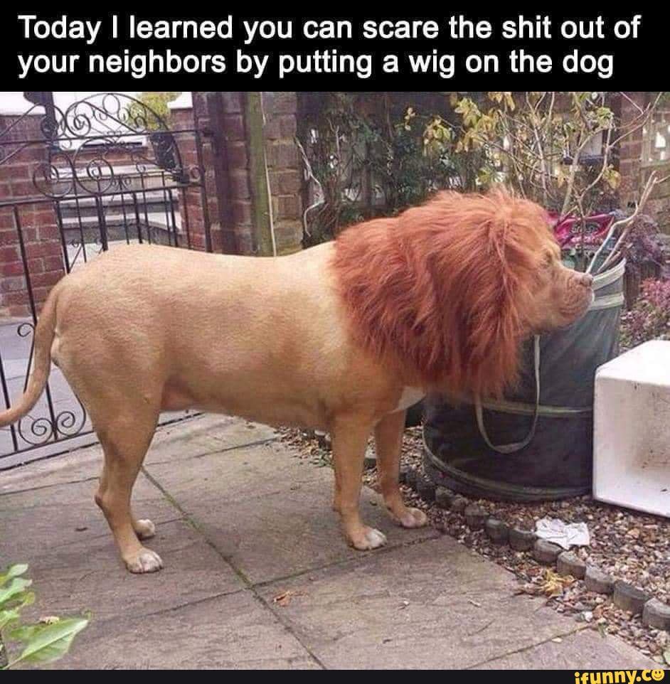 Nickiitheboss on Instagram: “In bed bath and beyond like 🤗🤣” - )