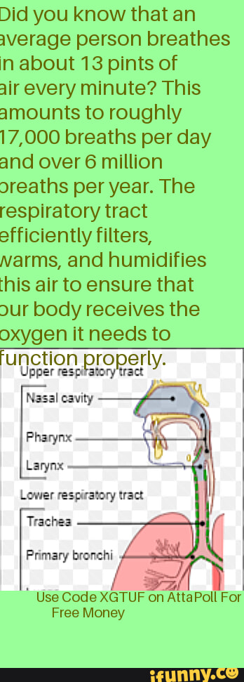 Respiratory memes. Best Collection of funny Respiratory pictures on iFunny