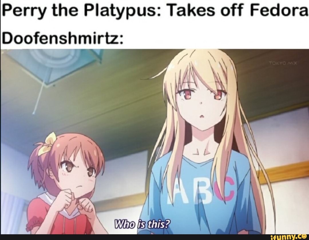 Perry the Platypus: Takes off Fedora - iFunny