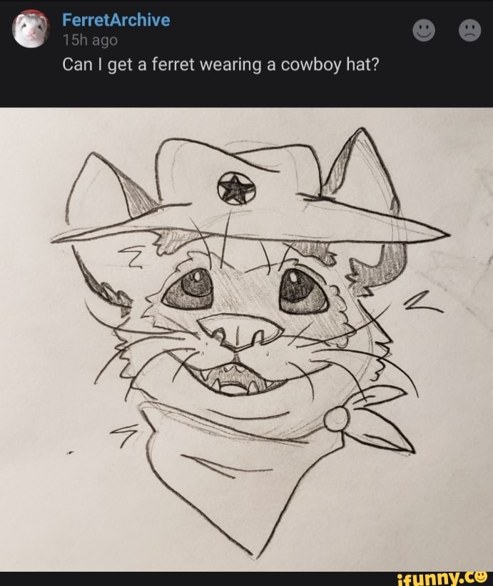 FerretArchive ago Can I get a ferret wearing a cowboy hat? - iFunny