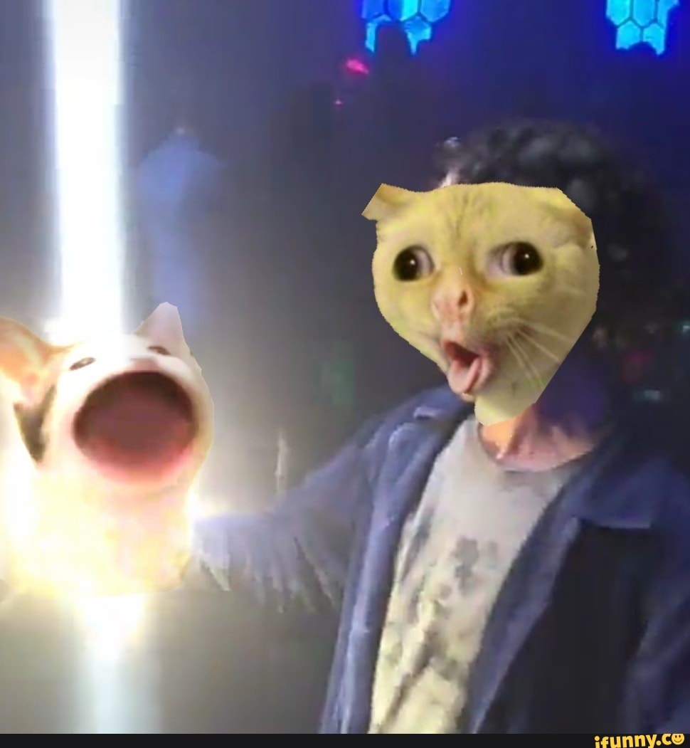 Popcat memes. Best Collection of funny Popcat pictures on iFunny