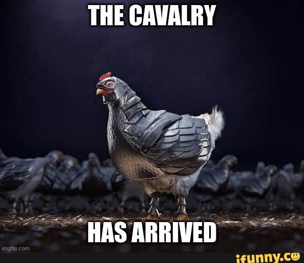 Cuccos memes. Best Collection of funny Cuccos pictures on iFunny