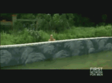 Mxc memes. Best Collection of funny Mxc pictures on iFunny