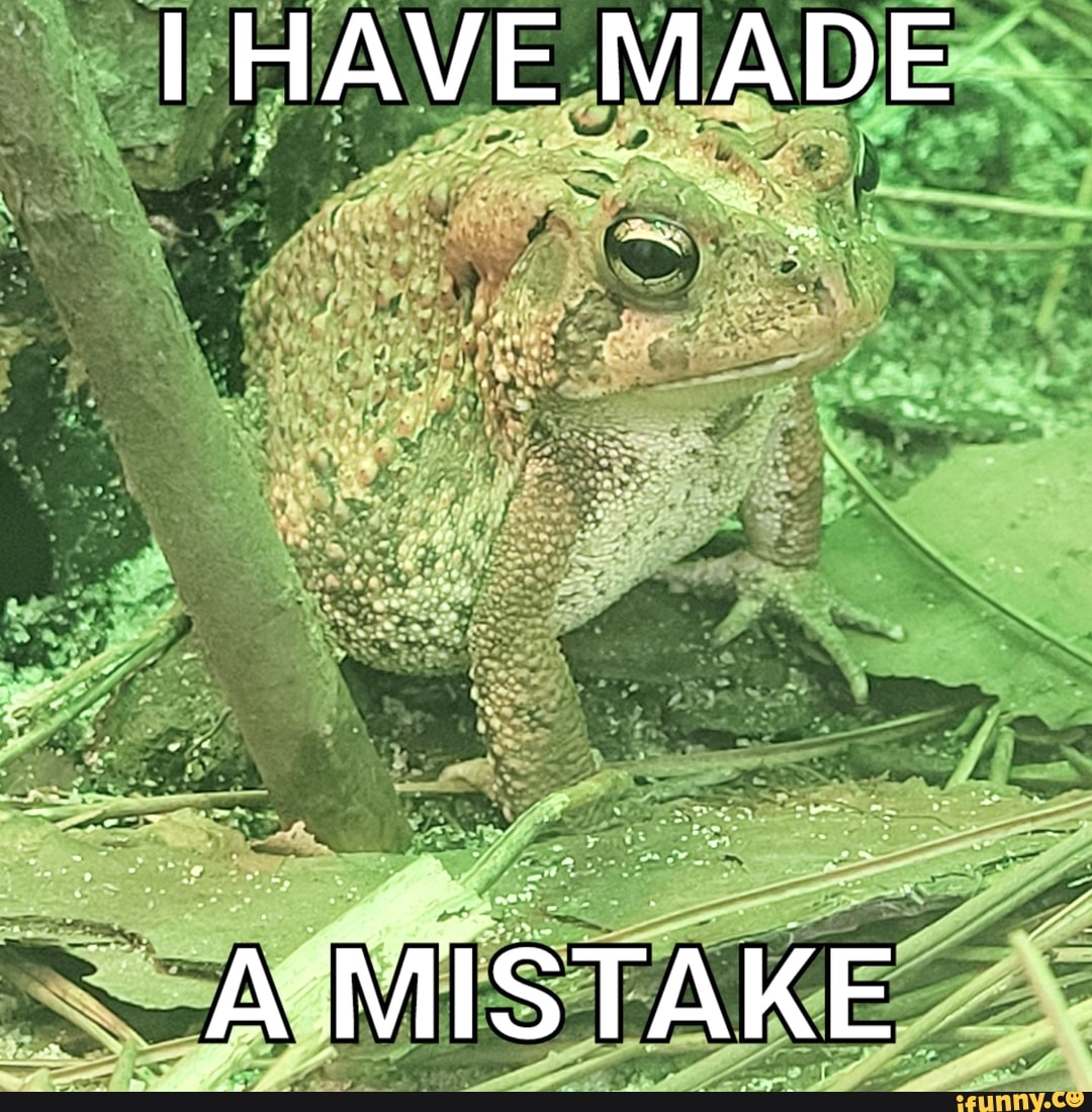 Froggy memes. Best Collection of funny Froggy pictures on iFunny