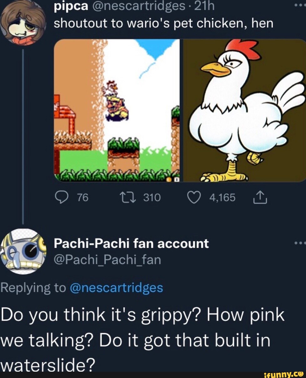 Pipca @nescartridges shoutout to wario's pet chicken, hen 76 Pachi ...