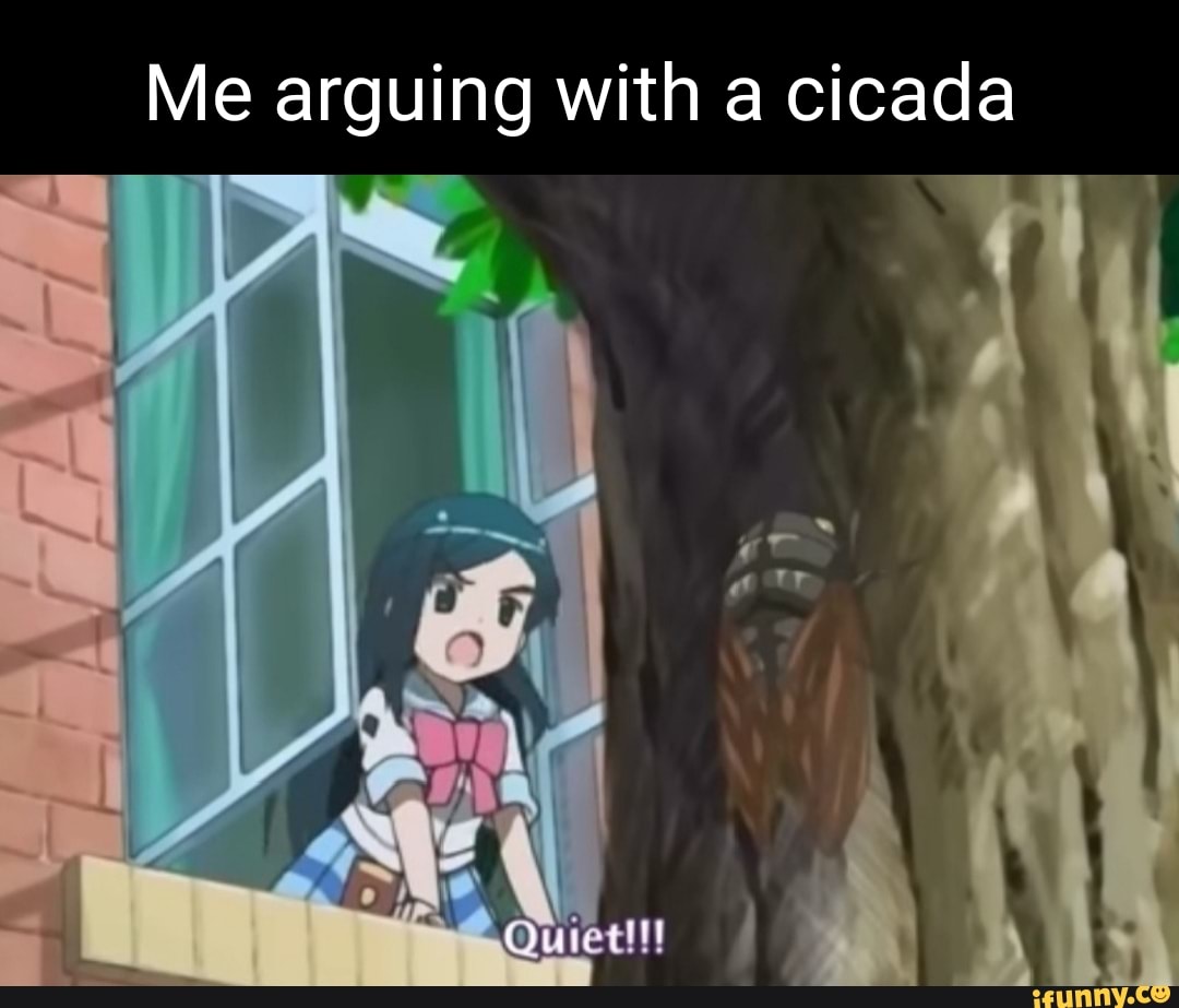 Cicada memes. Best Collection of funny Cicada pictures on iFunny