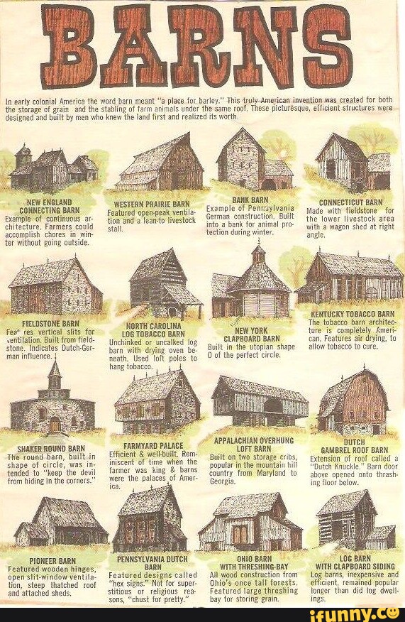 Colonjal memes. Best Collection of funny Colonjal pictures on iFunny