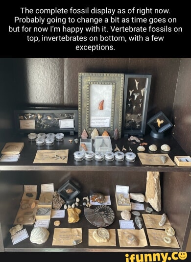 Fossils memes. Best Collection of funny Fossils pictures on iFunny