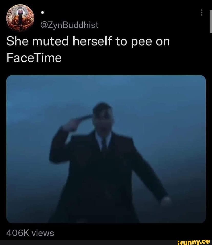 Zynbuddhist She Muted Herself To Pee On Facetime 406k Views Ifunny