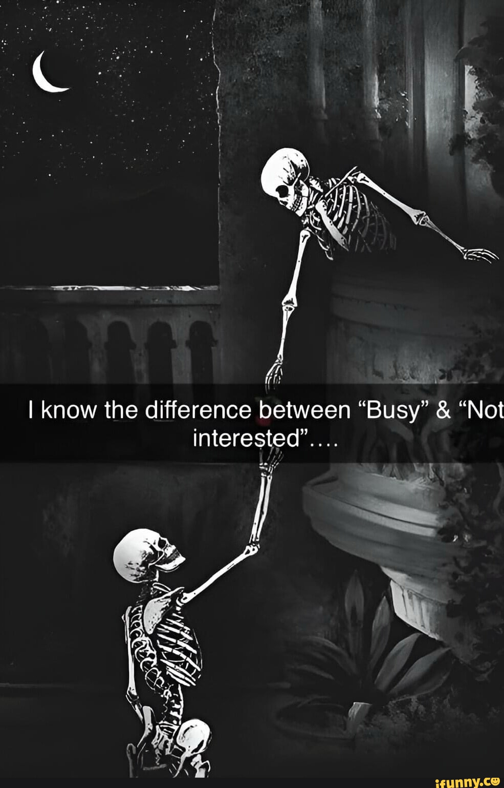 Interested"... I know the difference between "Busy" & "Not - iFunny