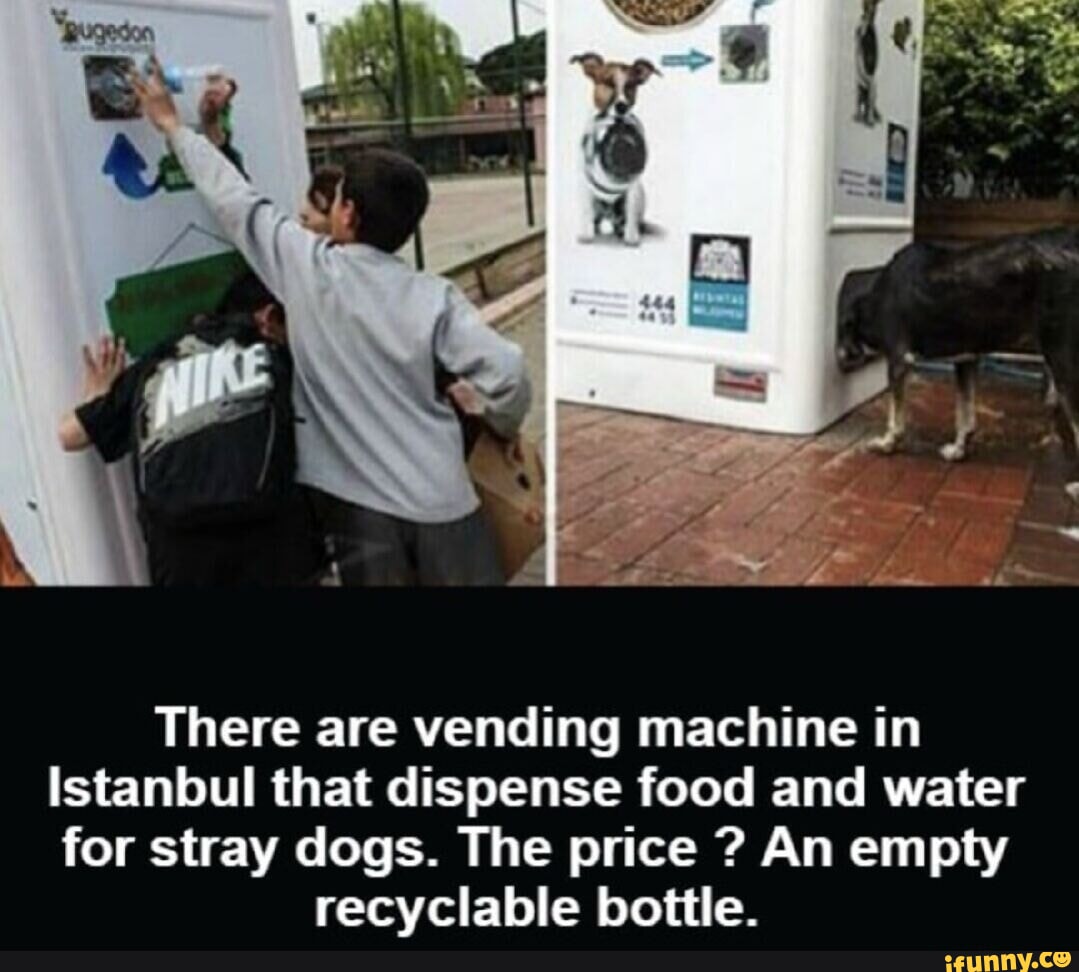 Istanbul memes. Best Collection of funny Istanbul pictures on iFunny