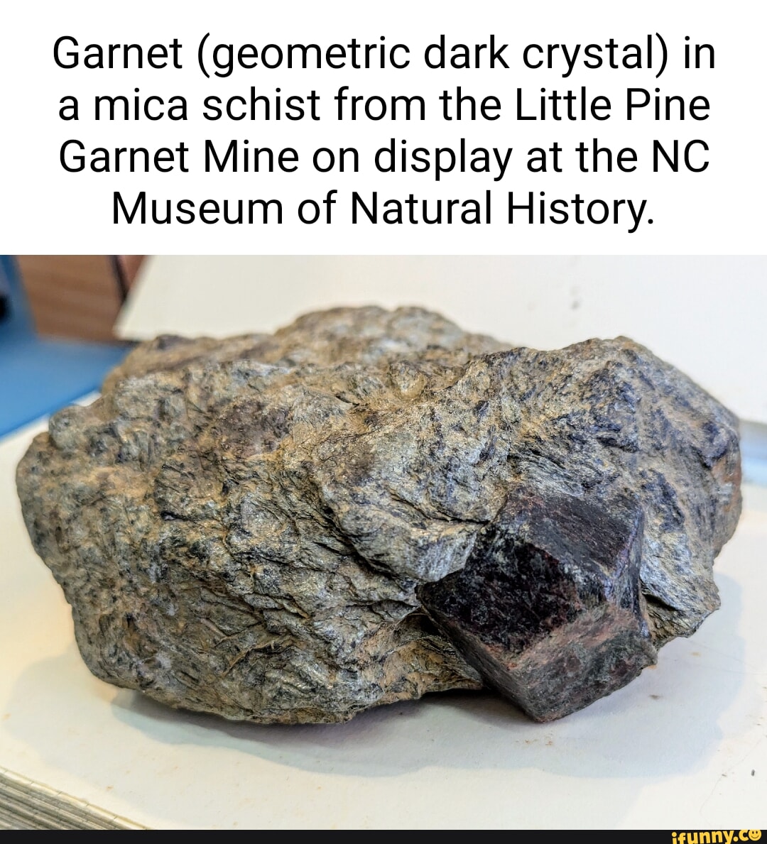 Garnet memes. Best Collection of funny Garnet pictures on iFunny