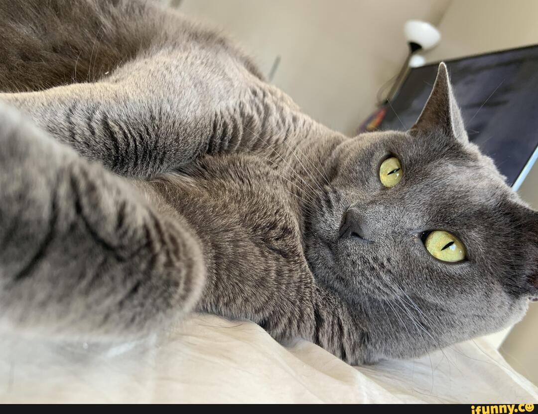 Kegger memes. Best Collection of funny Kegger pictures on iFunny