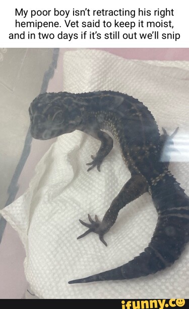 Retracting memes. Best Collection of funny Retracting pictures on iFunny