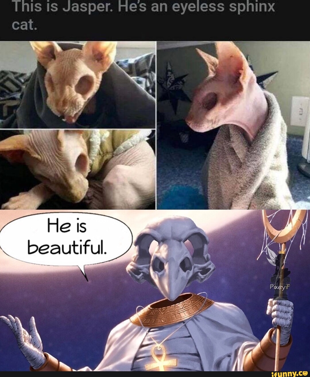 Jasper memes. Best Collection of funny Jasper pictures on iFunny