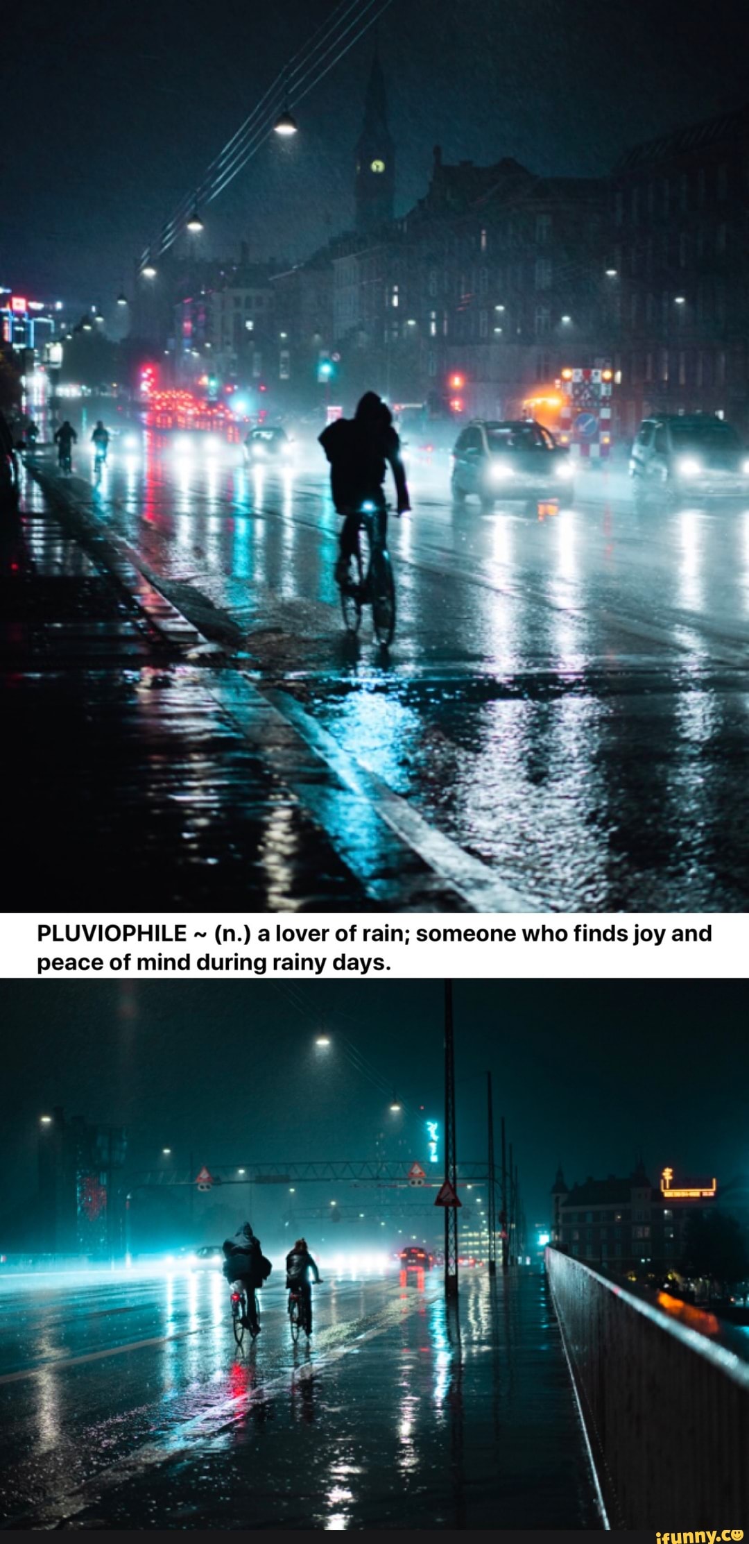 PLUVIOPHILE (n.) a lover of rain; someone who finds joy and peace of ...