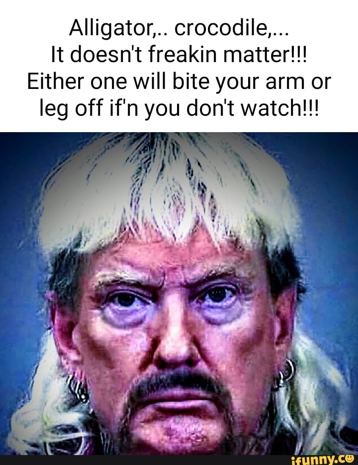 Alligator memes. Best Collection of funny Alligator pictures on iFunny