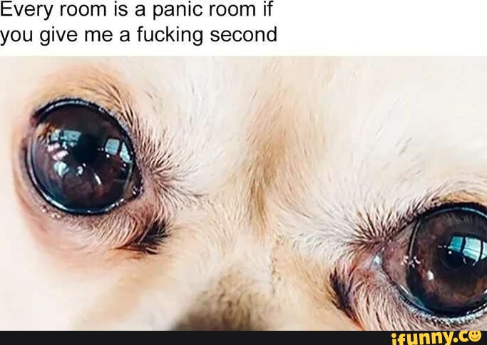 Every room IS a panic room if you give me a fucking second - iFunny