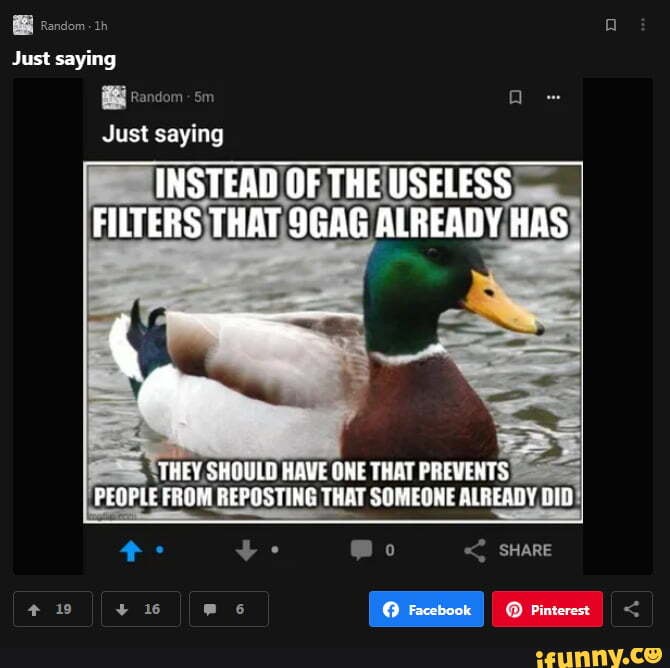 Mad Advice Mallard
