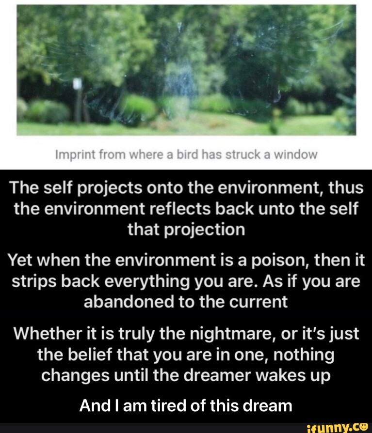 Imprint memes. Best Collection of funny Imprint pictures on iFunny