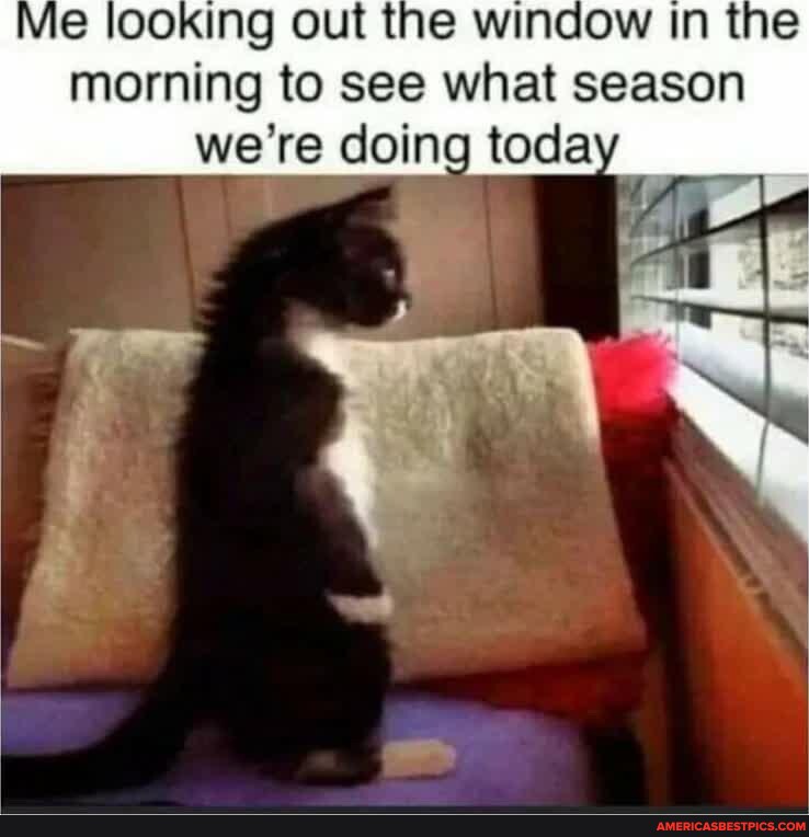 Me looking out the window in the morning to see what season we're doing ...