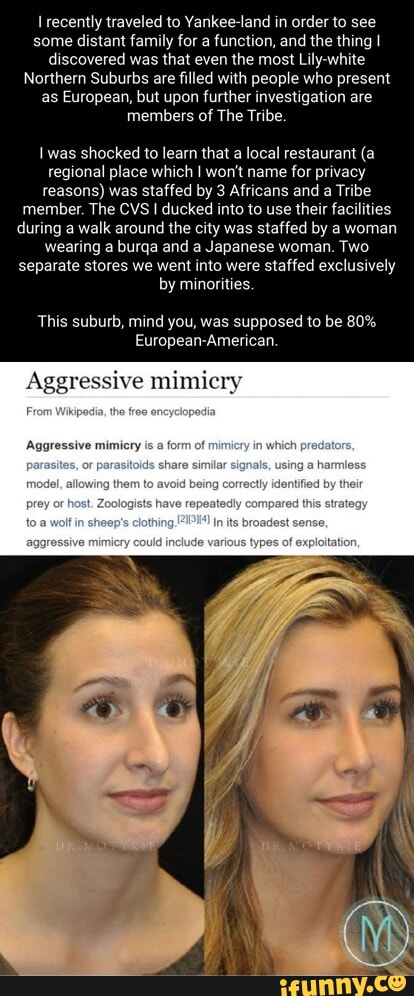 Suburbs memes. Best Collection of funny Suburbs pictures on iFunny