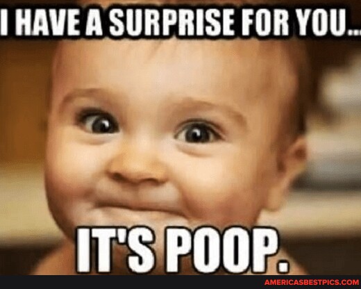 I HAVE A SURPRISE FOR YOU. IT'S POOP. - America’s best pics and videos