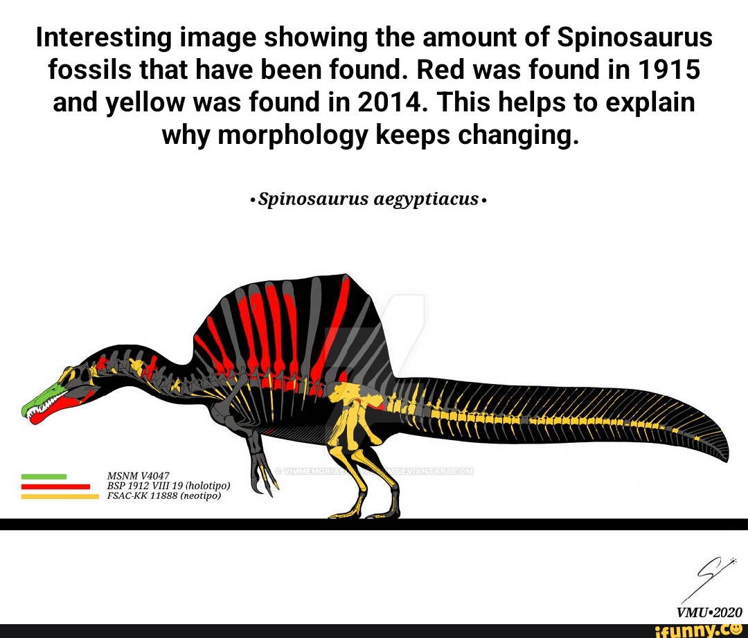 Morphology memes. Best Collection of funny Morphology pictures on iFunny