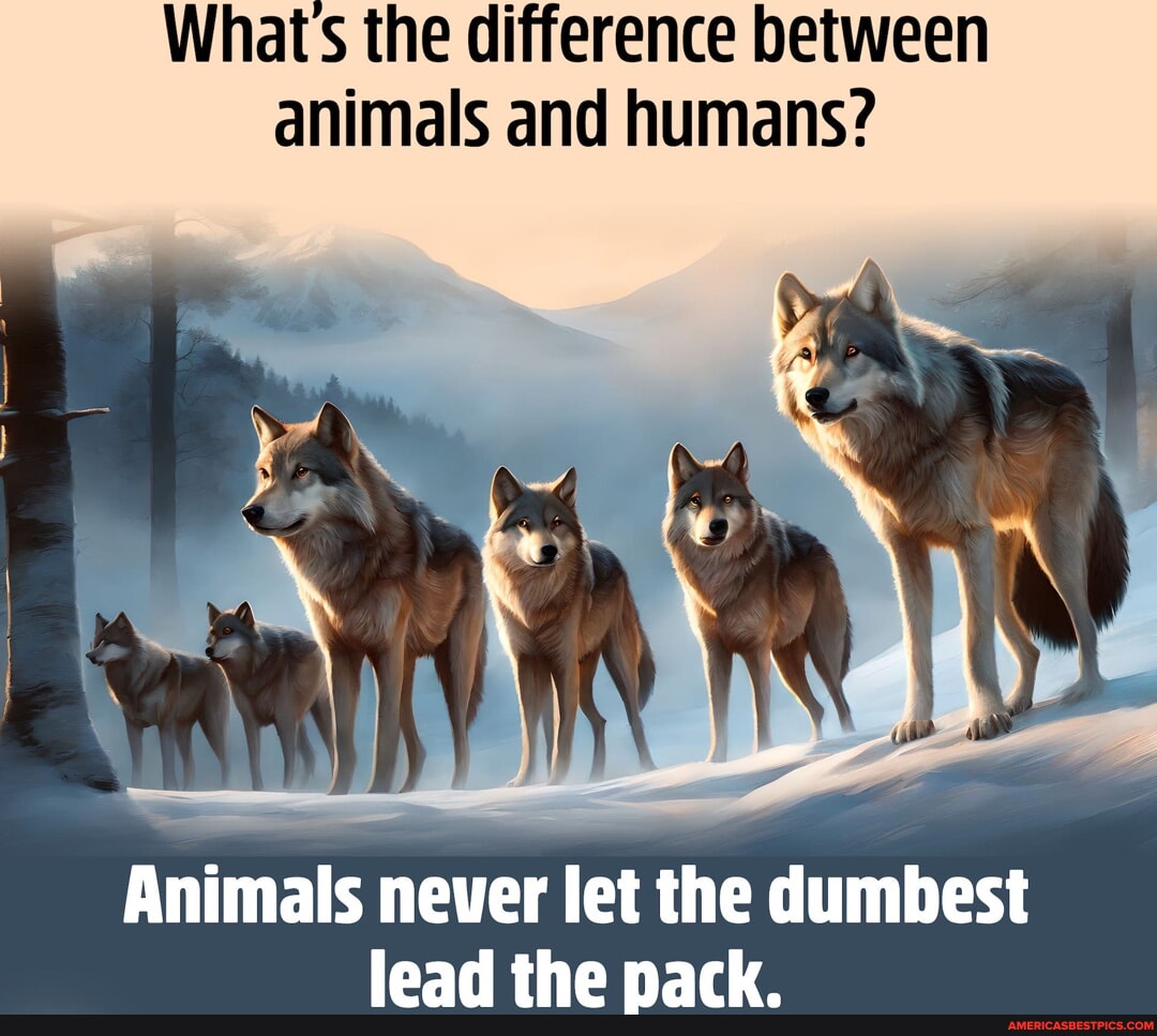 What's the difference between animals and humans? We Animals never let the dumbest lead the pack ...