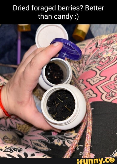 Dried memes. Best Collection of funny Dried pictures on iFunny