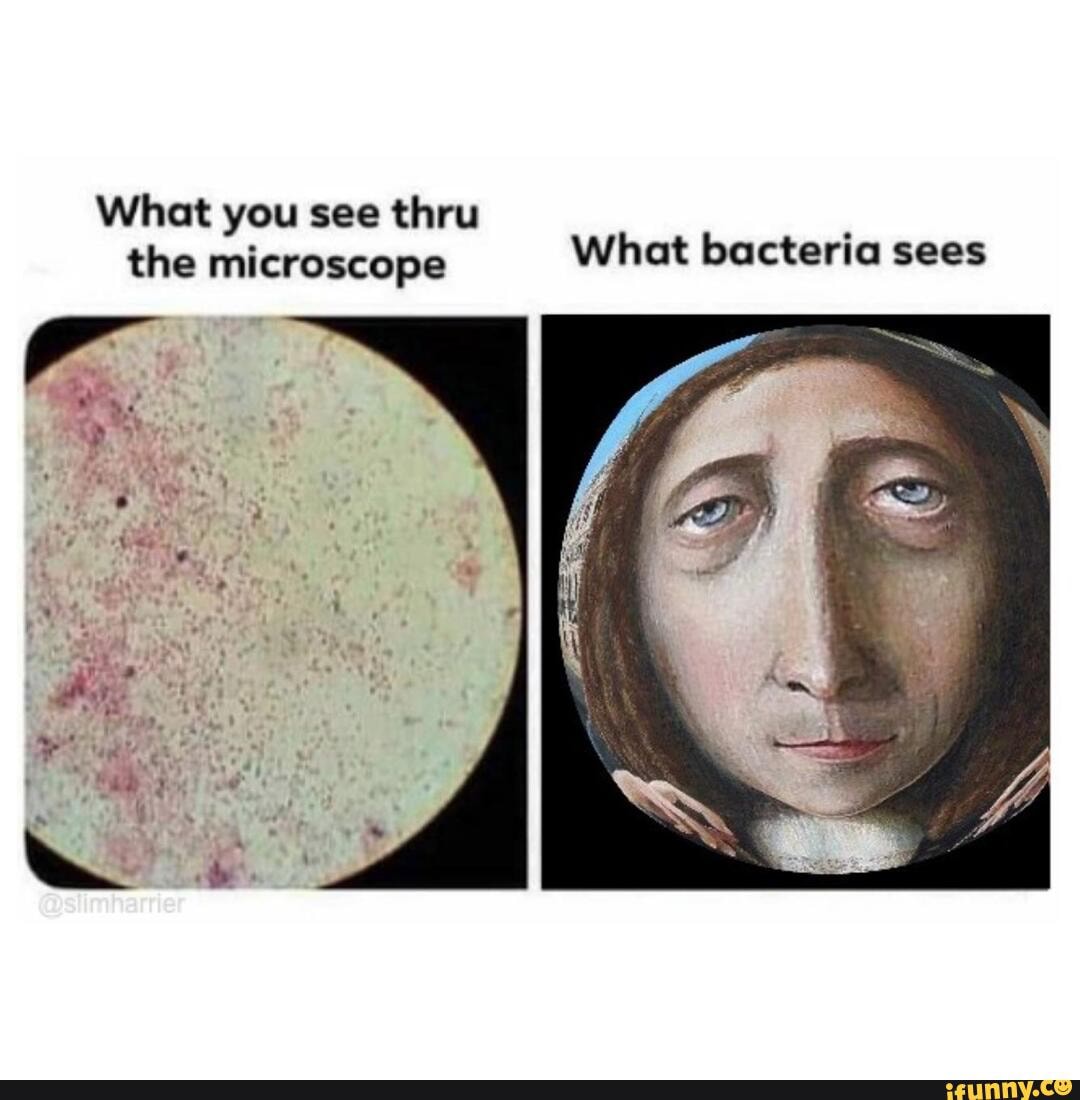 What you see thru the microscope What bacteria sees - iFunny