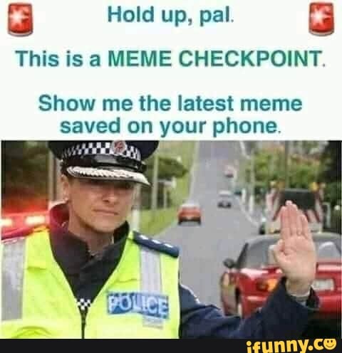This is a MEME CHECKPOINT. Show me the latest meme - iFunny