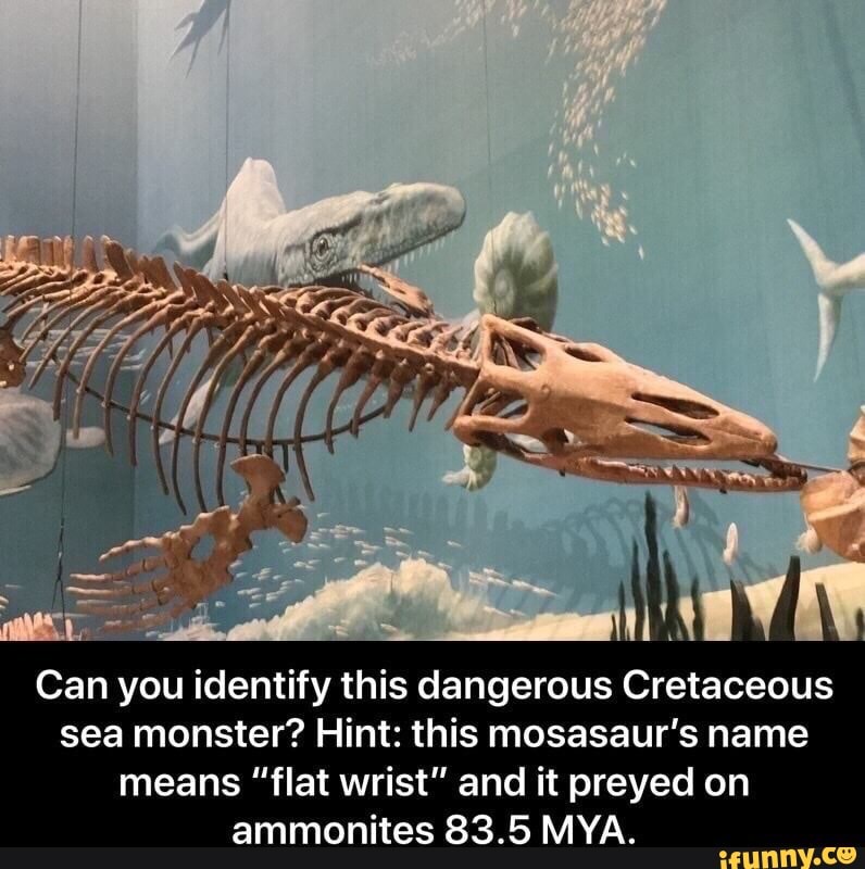 Mosasaurs memes. Best Collection of funny Mosasaurs pictures on iFunny