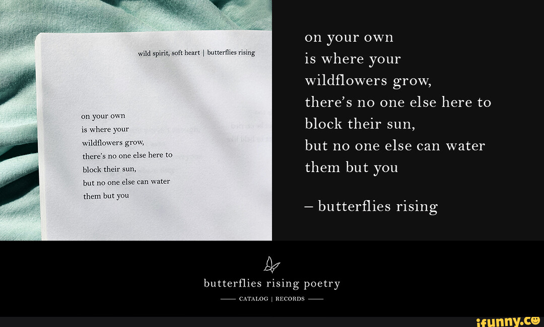 Wildflowers memes. Best Collection of funny Wildflowers pictures on iFunny