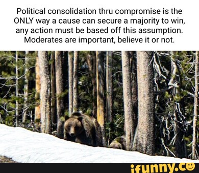 Consolidation memes. Best Collection of funny Consolidation pictures on ...