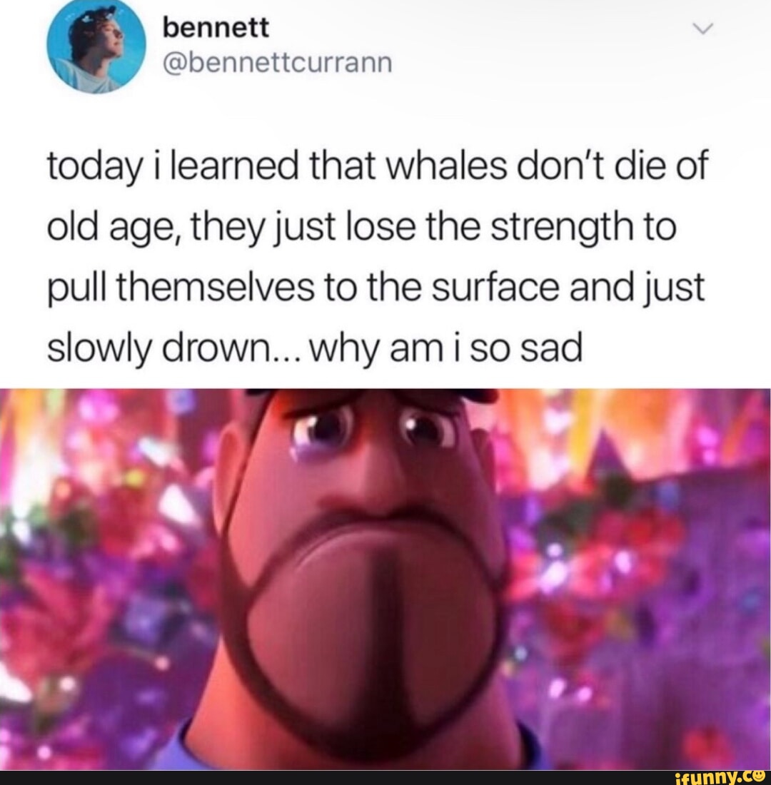 Bennett memes. Best Collection of funny Bennett pictures on iFunny