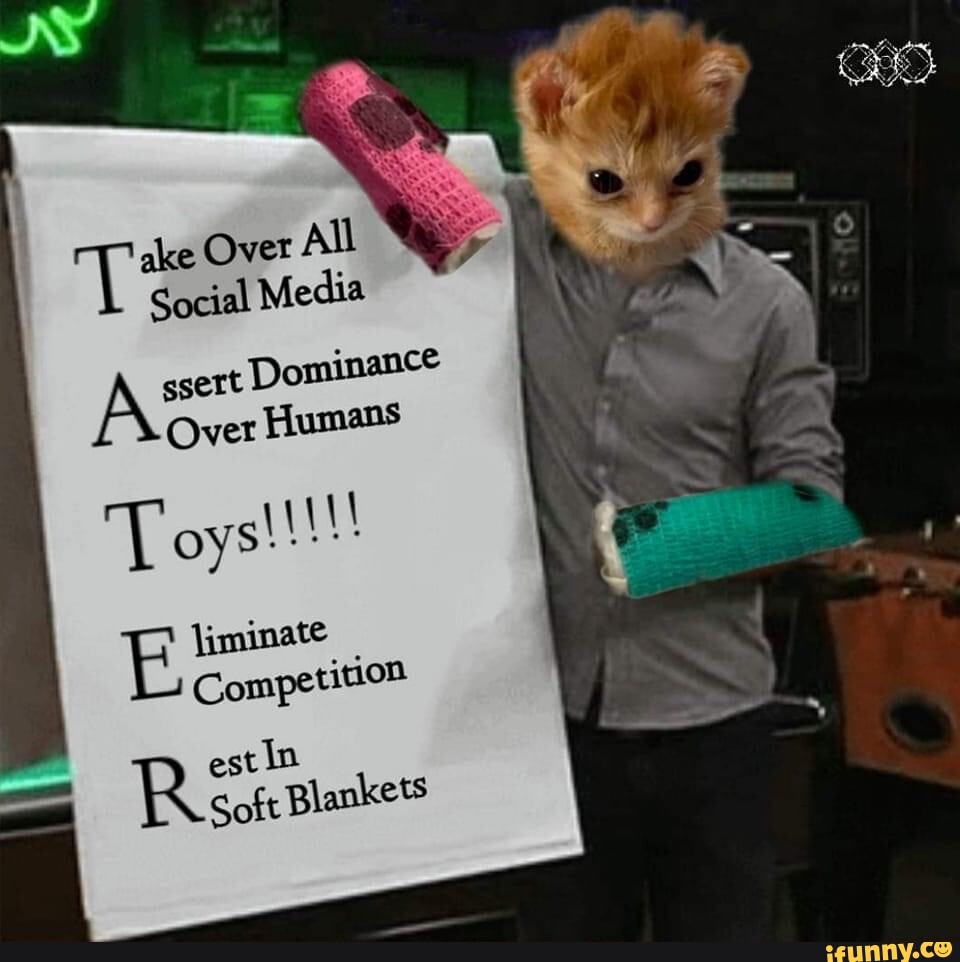 Competition memes. Best Collection of funny Competition pictures on iFunny