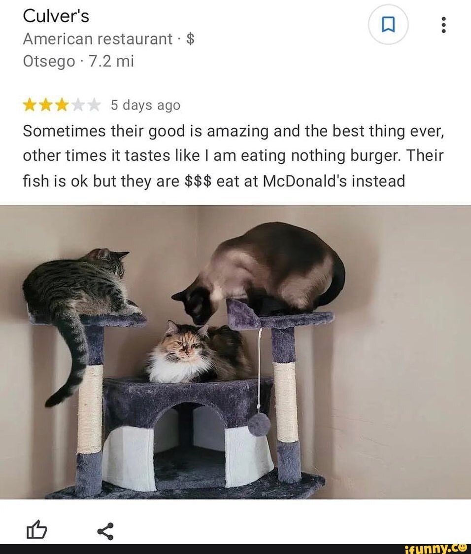 Culvers memes. Best Collection of funny Culvers pictures on iFunny