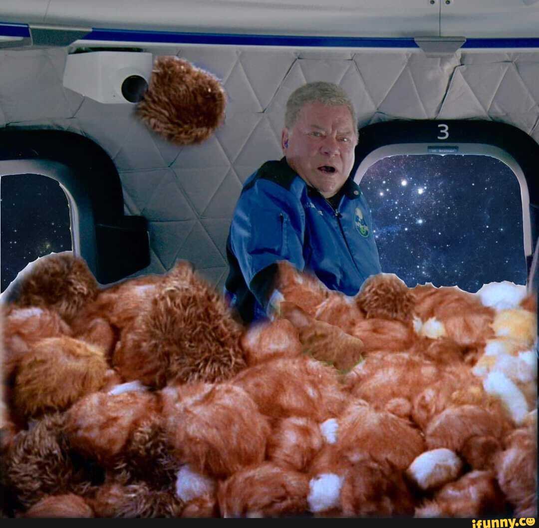 Tribbles memes. Best Collection of funny Tribbles pictures on iFunny