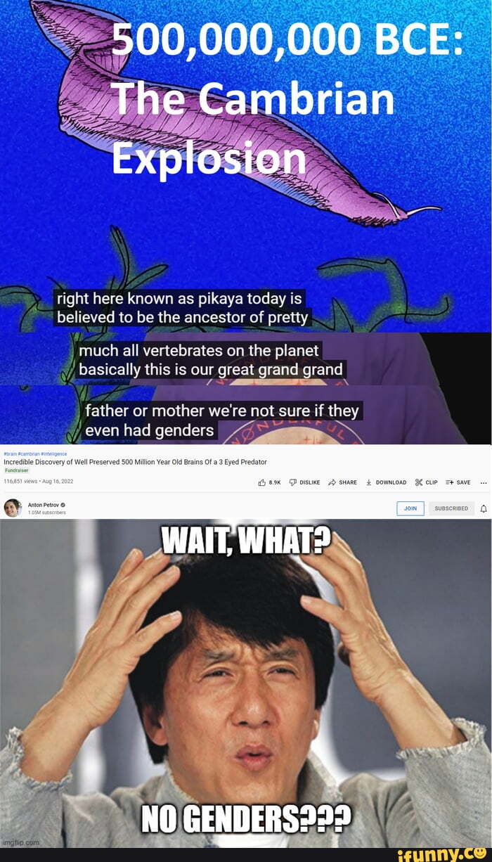 Cambrianexplosion memes. Best Collection of funny Cambrianexplosion ...