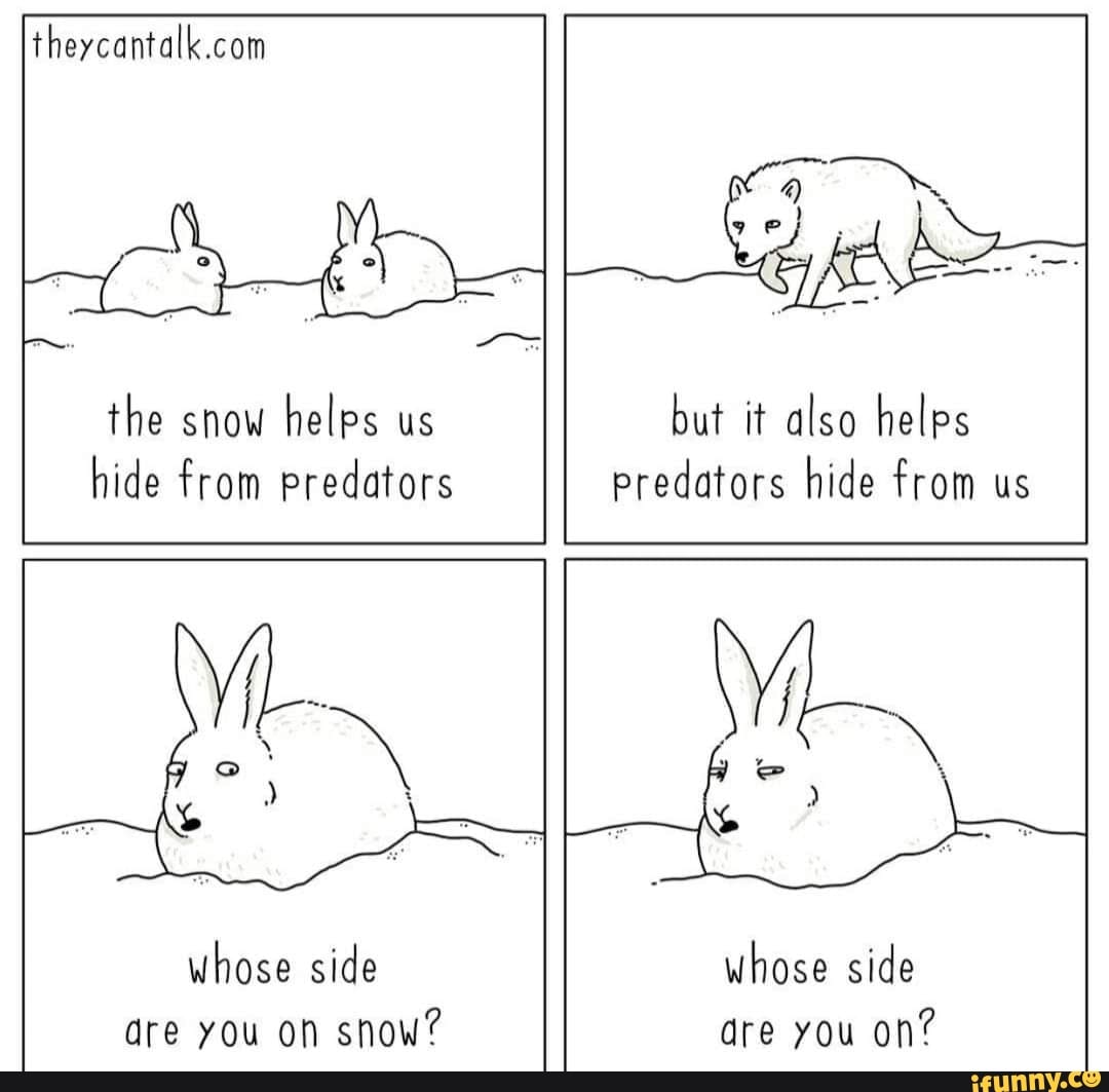 The snow helps us hide from predators whose side are you on snow? but ...