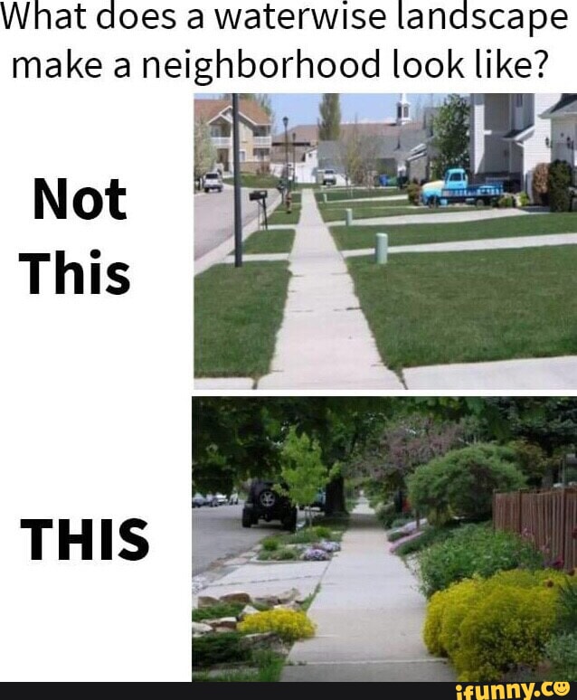 What does a waterwise landscape make a neighborhood look like? Not This ...